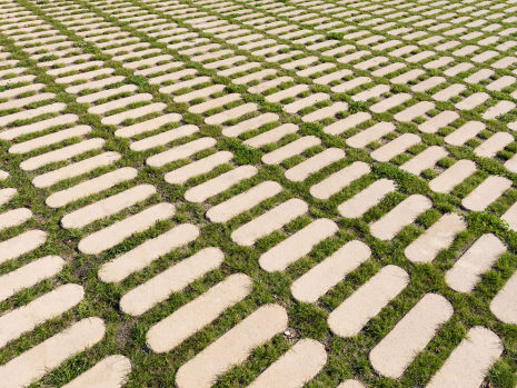 Grasbetontegel mirum 60x40x12 grijs